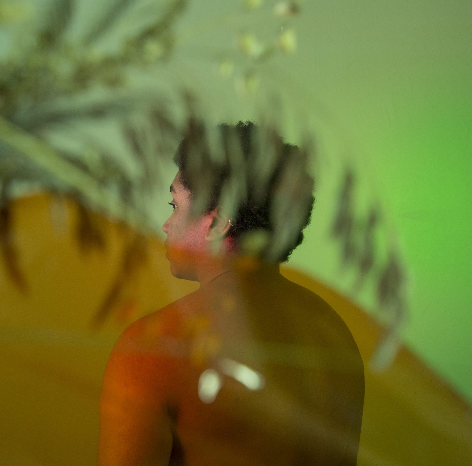 have a safe travel | la Balsamine