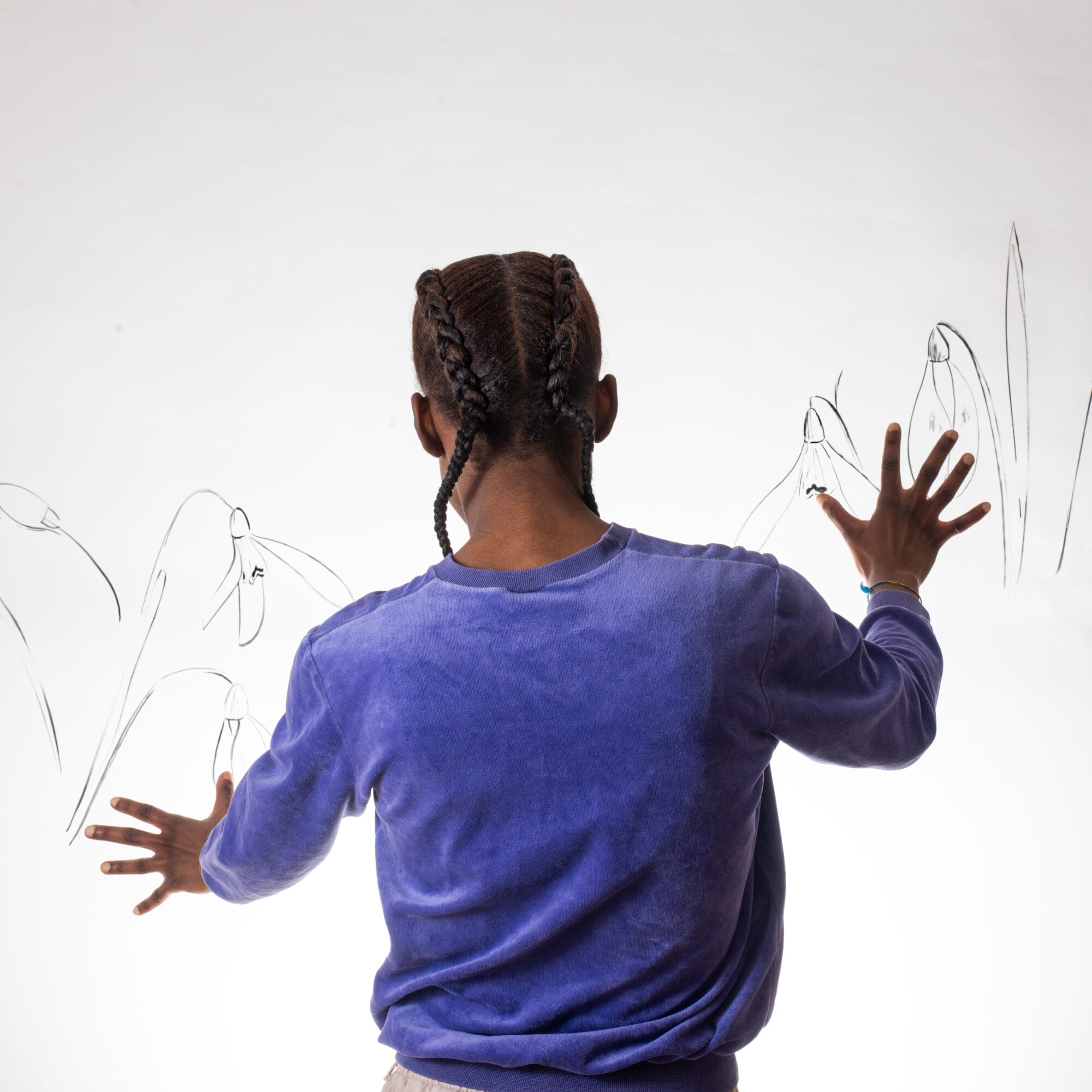 l'arbre qui cachait la forêt | la Balsamine